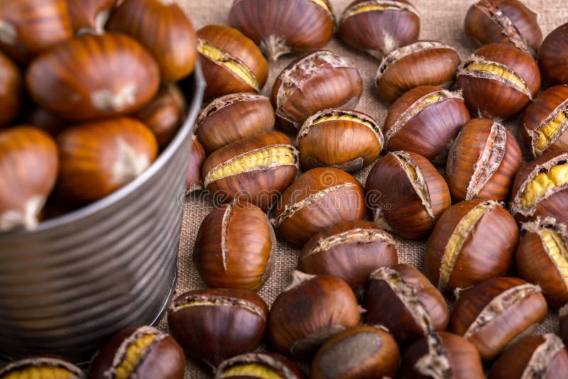Chestnuts stock photo. Image of autumn, cooking, october - 77130750