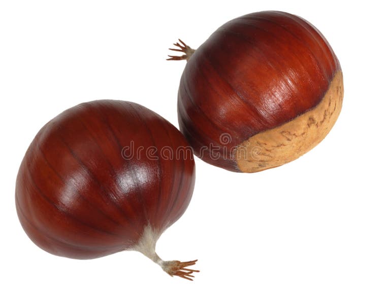 Chestnuts stock image. Image of sweet, isolated, maroon - 34363749