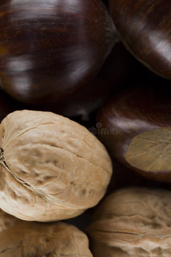 Chestnuts and walnuts stock photo. Image of kernel, chestnut - 128558940