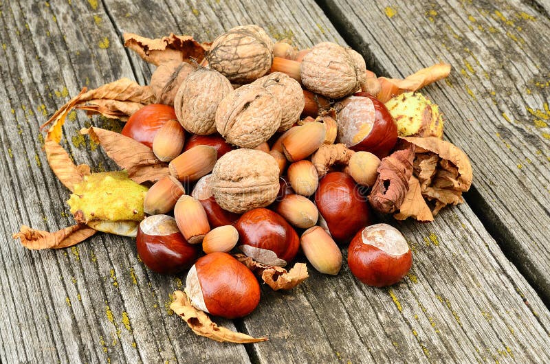 Chestnuts, Walnuts and Hazelnuts on Wooden Background Stock Photo ...