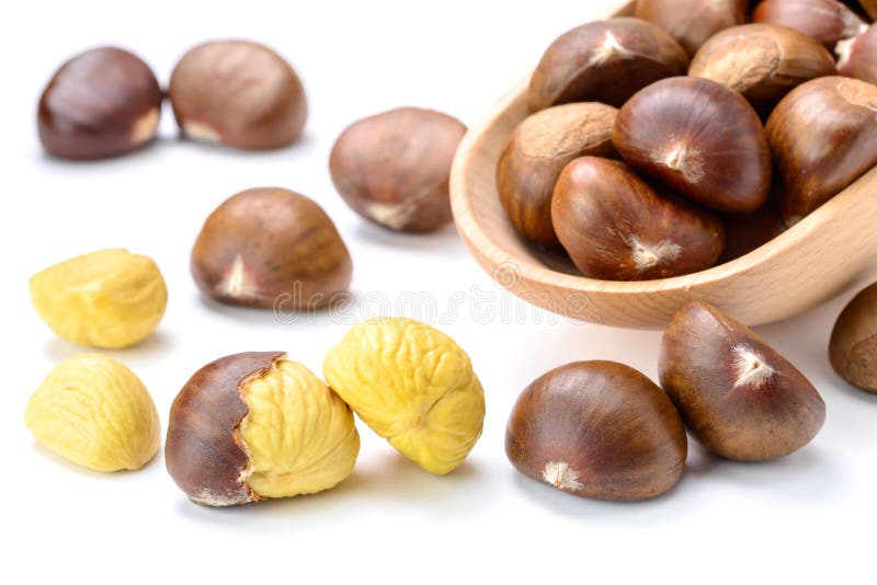Chestnuts stock image. Image of fruit, fall, maroon, close - 70228123