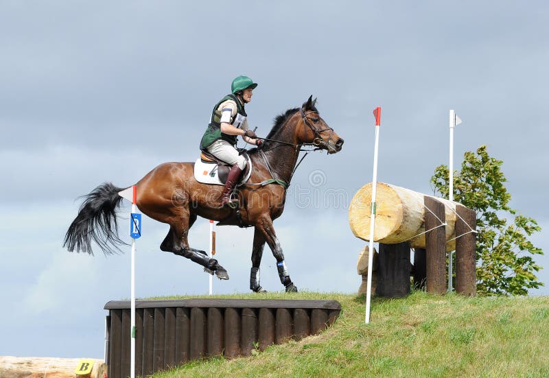 Saut d'un cheval photographie éditorial. Image du équestre - 26907702