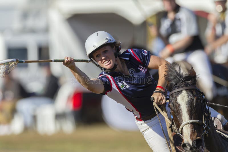 Cheval De Joueur De Polo-croix Image éditorial - Image du pièce, durban ...