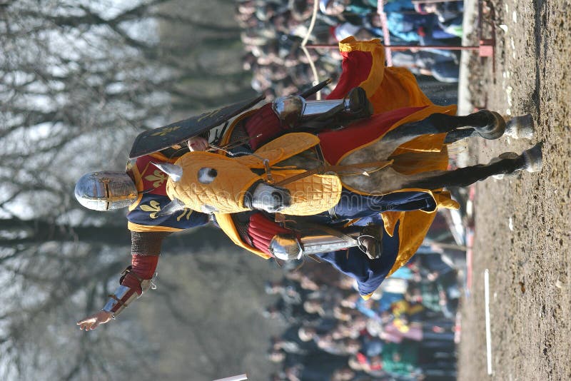 Chevalier avec le cheval image stock. Image du chevaliers - 8419071