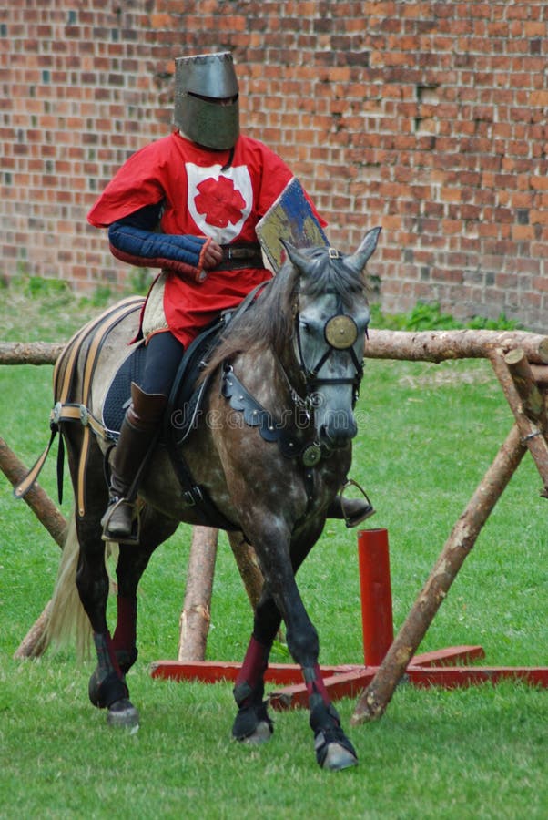 Chevalier avec le cheval image stock. Image du shield - 8419071
