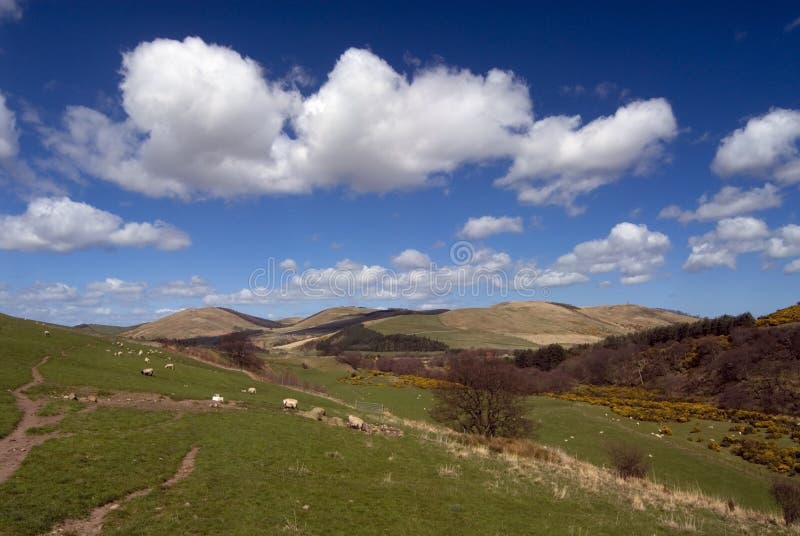 Cheviot Hills stock image. Image of borders, kirknewton - 2445499