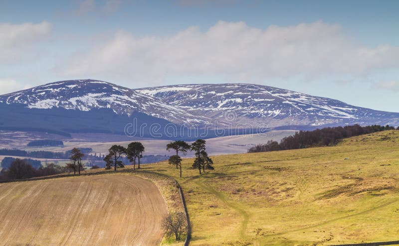 The Cheviot Hills stock image. Image of northumberland - 31574507