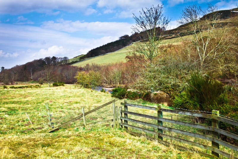 Cheviot Hills stock image. Image of hills, north, field - 31831907