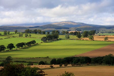 Cheviots Hill stock photo. Image of park, fields, view - 3222924