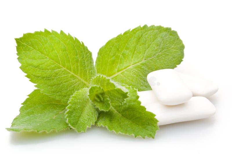 Chewing gum and mint stock photo. Image of leaves, protection - 15809750