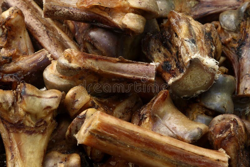 Marrow Bones Dogs Stock Photos - Free & Royalty-Free Stock Photos from ... Marrow Bones Dogs Stock Photos - Free & Royalty-Free Stock Photos from ...