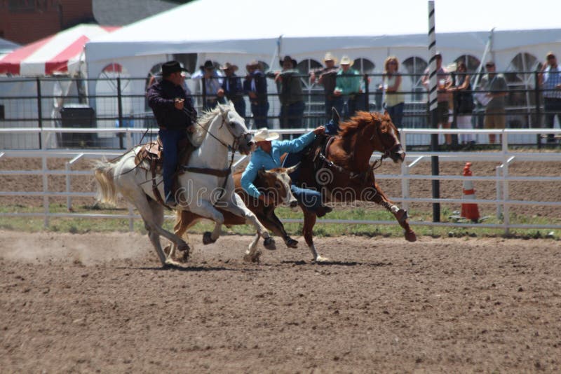 Cheyenne Frontier Days Rodeo 2013 Photo stock éditorial - Image du ...