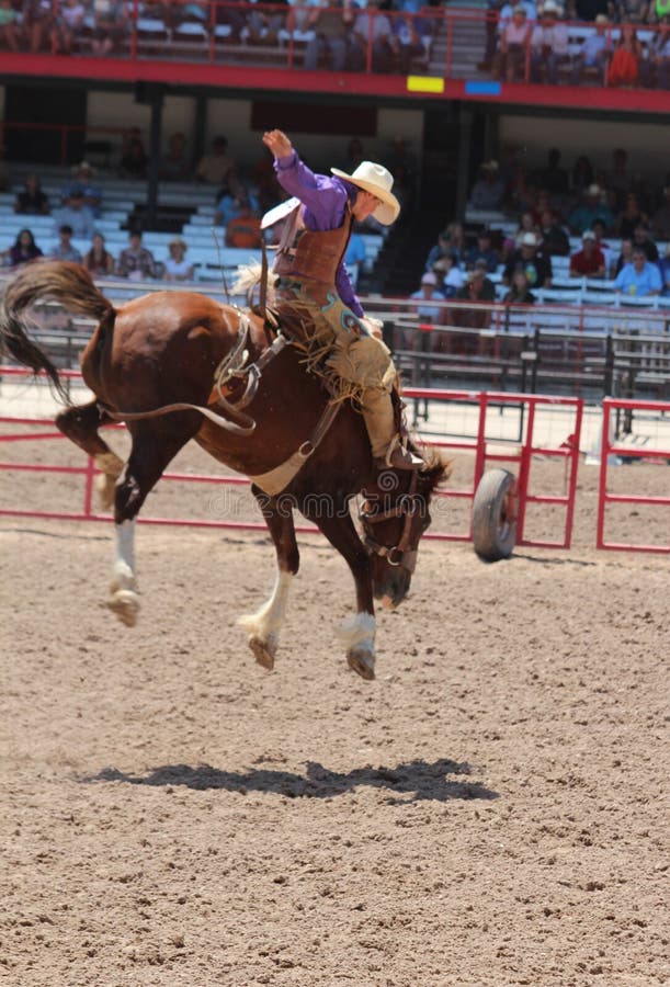 Cheyenne Frontier Days Rodeo 2013 Foto de archivo editorial - Imagen de ...