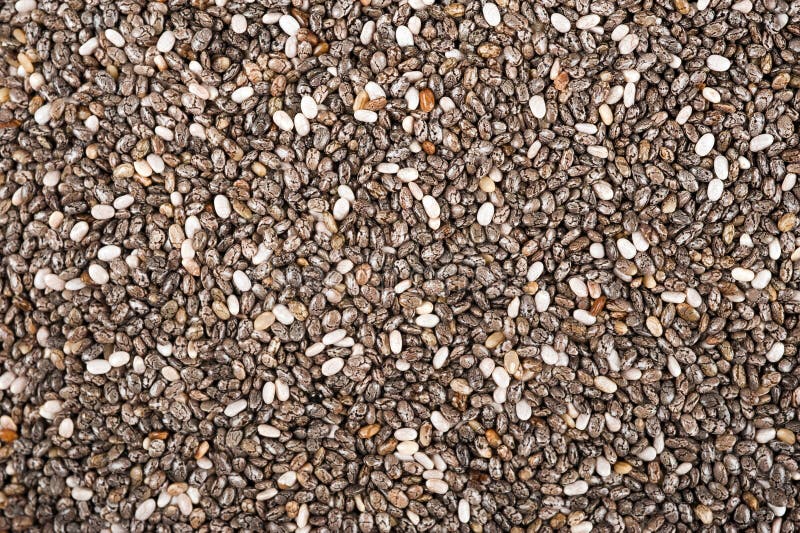 Chia stock photo. Image of background, container, salvia - 32008222