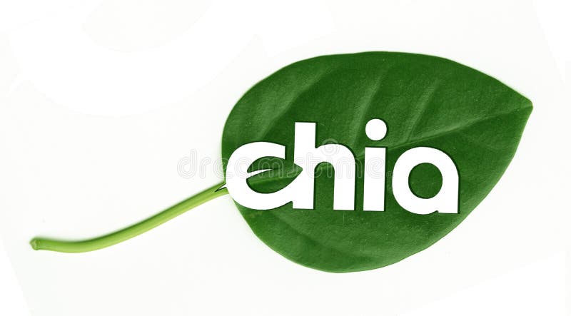 Chia coin stock photo. Image of cryptocurrencies, drive - 218735414