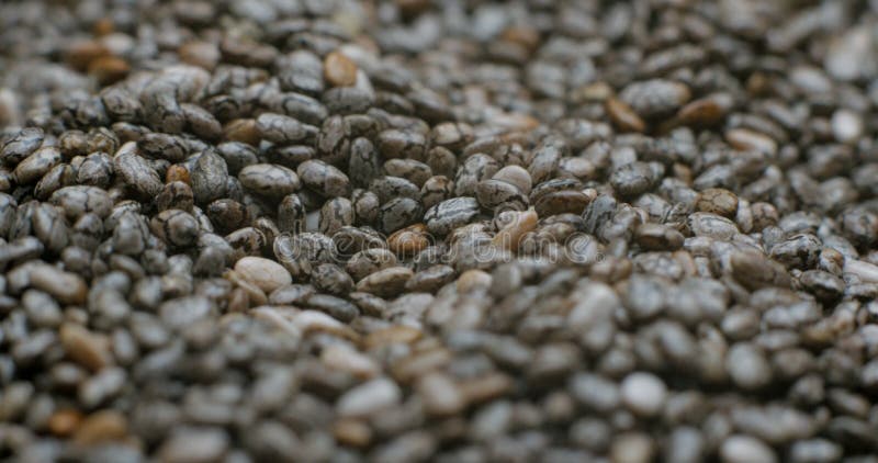 Chia Seed Falling and Rotating Macro Studio Stock Video - Video of diet ...