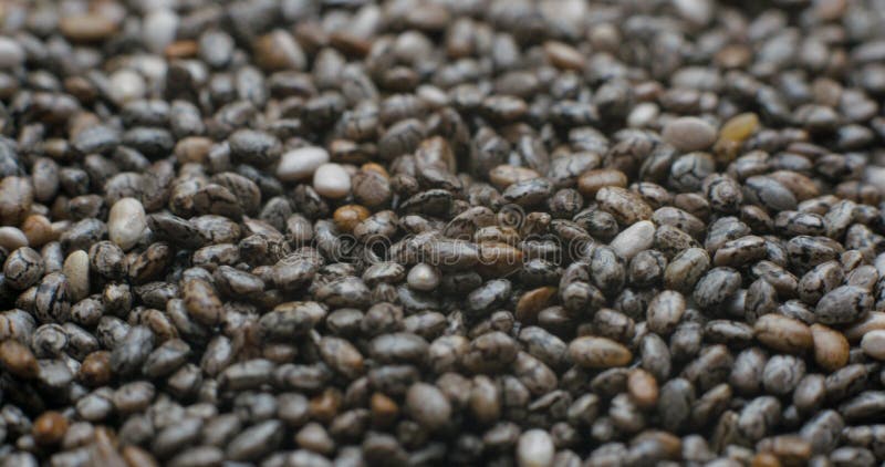 Chia Seed Falling and Rotating Macro Studio Stock Video - Video of slow ...