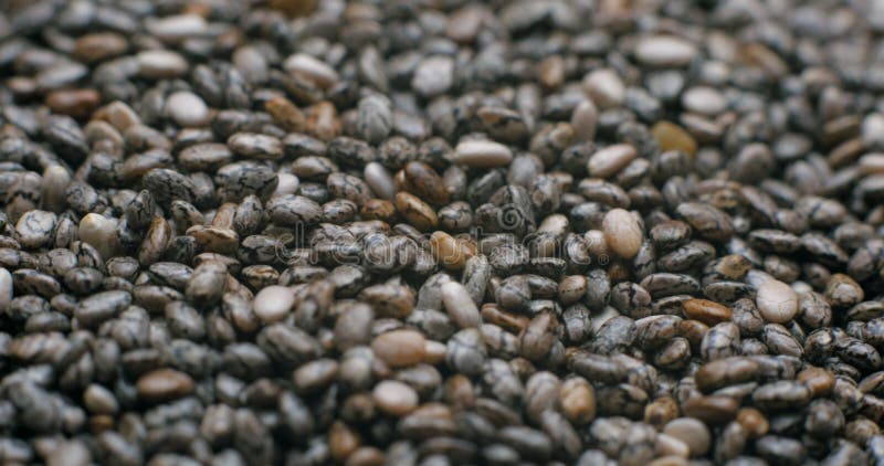 Chia Seed Falling and Rotating Macro Studio Stock Video - Video of heap ...