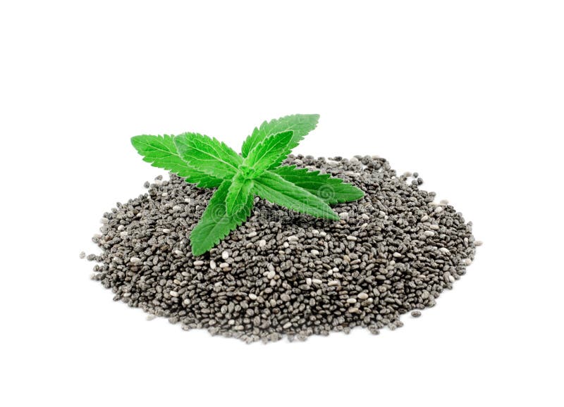 Chia Seeds and Green Chia Leaves on White Background Stock Image ...