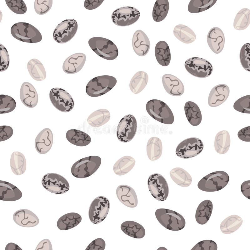Chia Plant and Seeds Isolated. Vector Illustration of Healthy Vegan ...