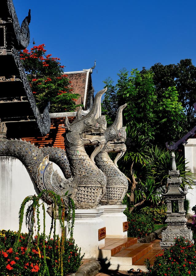 Chiang Mai, TH: Twin Naga Dragons at Temple Stock Photo - Image of ...