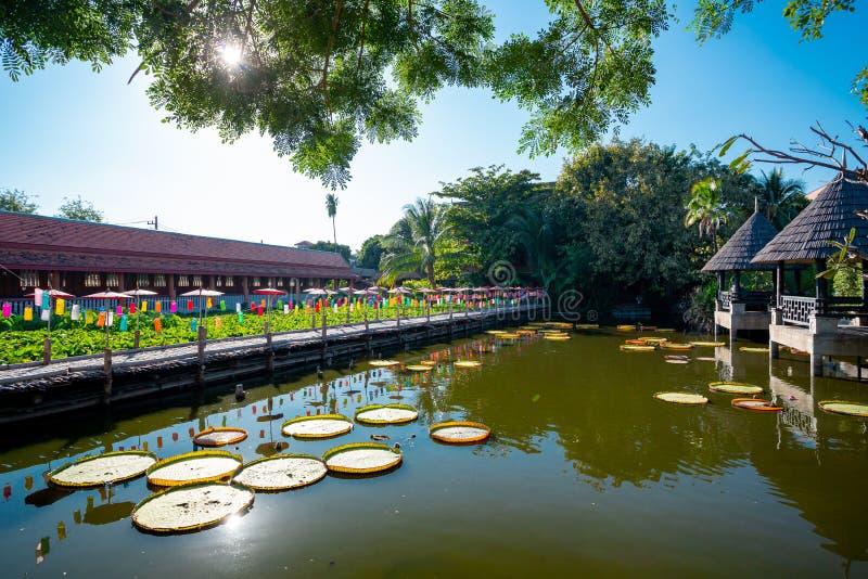 Chiang Mai Thailand. Temple De Lin Photo stock - Image du bouddhisme ...