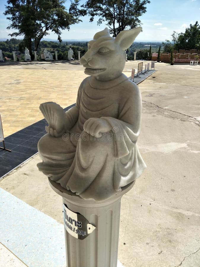 Rai Rabbit Stock Photos - Free & Royalty-Free Stock Photos from Dreamstime