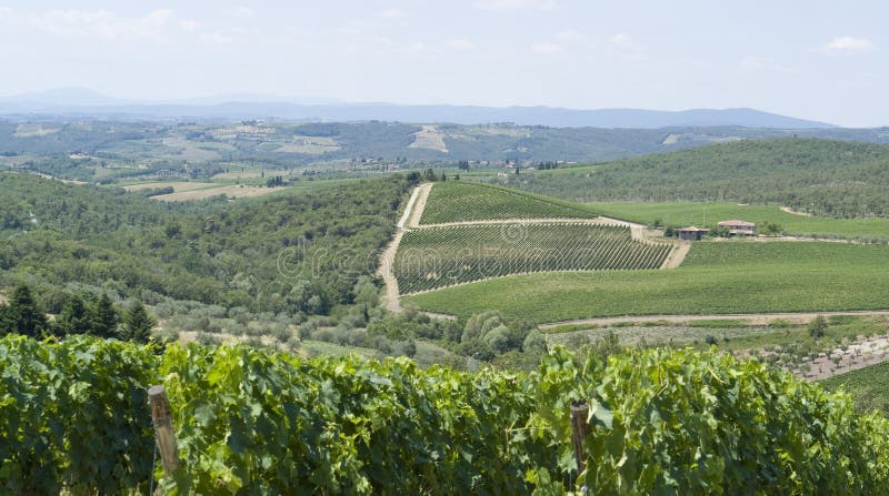 Chianti region in Tuscany stock image. Image of farming - 21346225