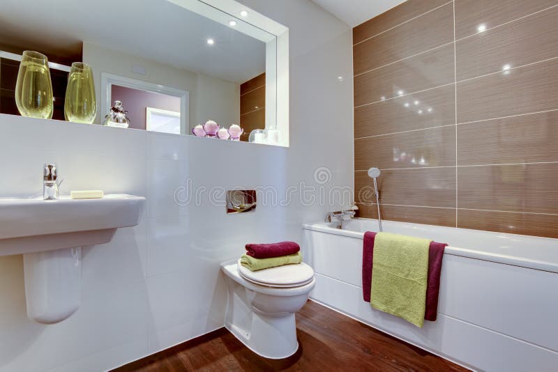 Chic Contemporary Bathroom stock photo. Image of decor - 21463250