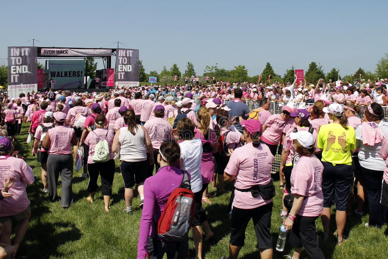 Chicago Avon Walk Participants with Arms Up Editorial Stock Image ...