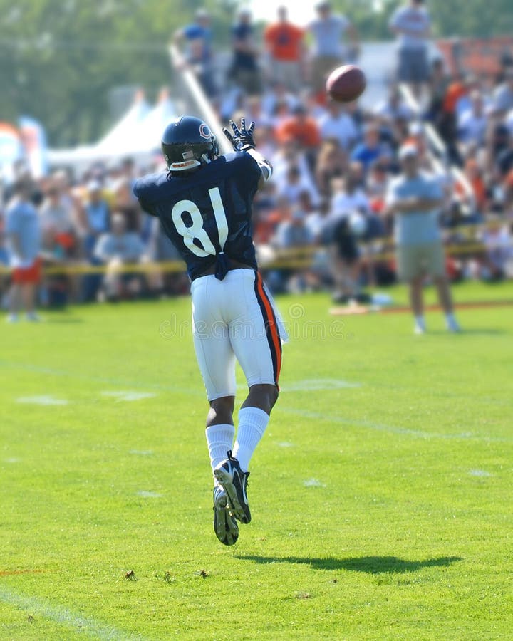 Chicago Bears Training Camp Editorial Photography - Image of nature ...