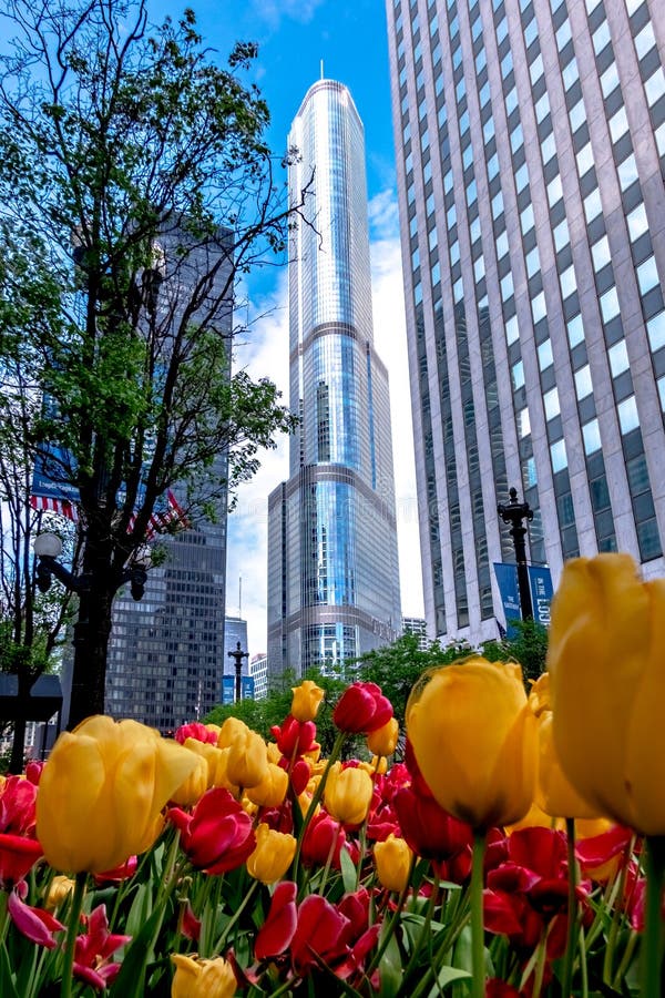 Chicago Illinois Downtown Scenes and Architecture Editorial Stock Image ...