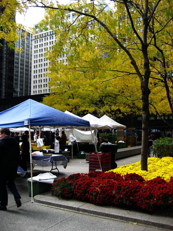 Chicago Market stock image. Image of business, tents, market - 1526137