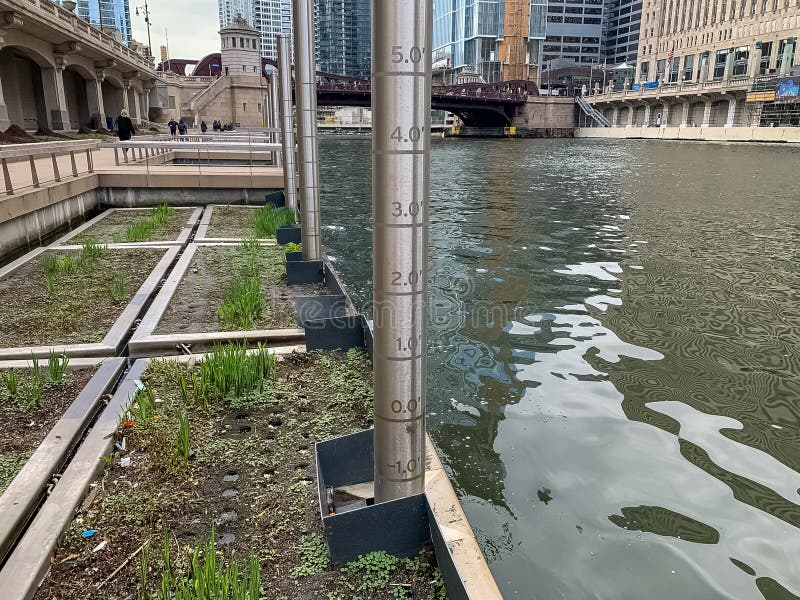 Chicago River Floating Ecosystem with Trash and Plastic Build Up ...