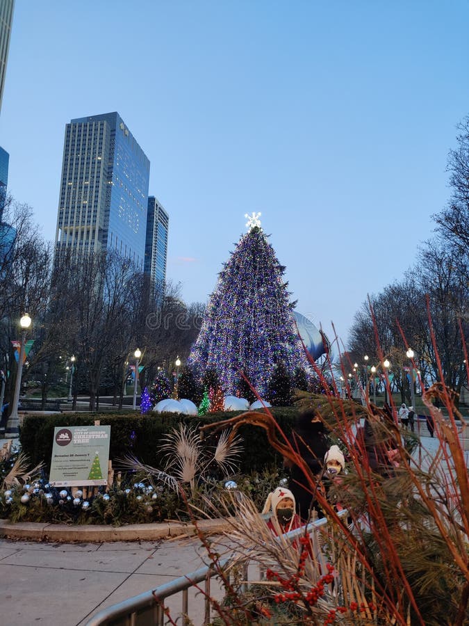 Chicago tree Christmas editorial photography. Image of landmark - 209158227
