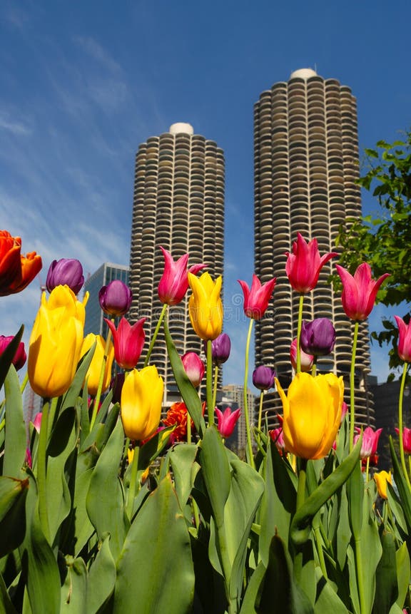 Chicago in Spring stock image. Image of lake, botanic - 29716733