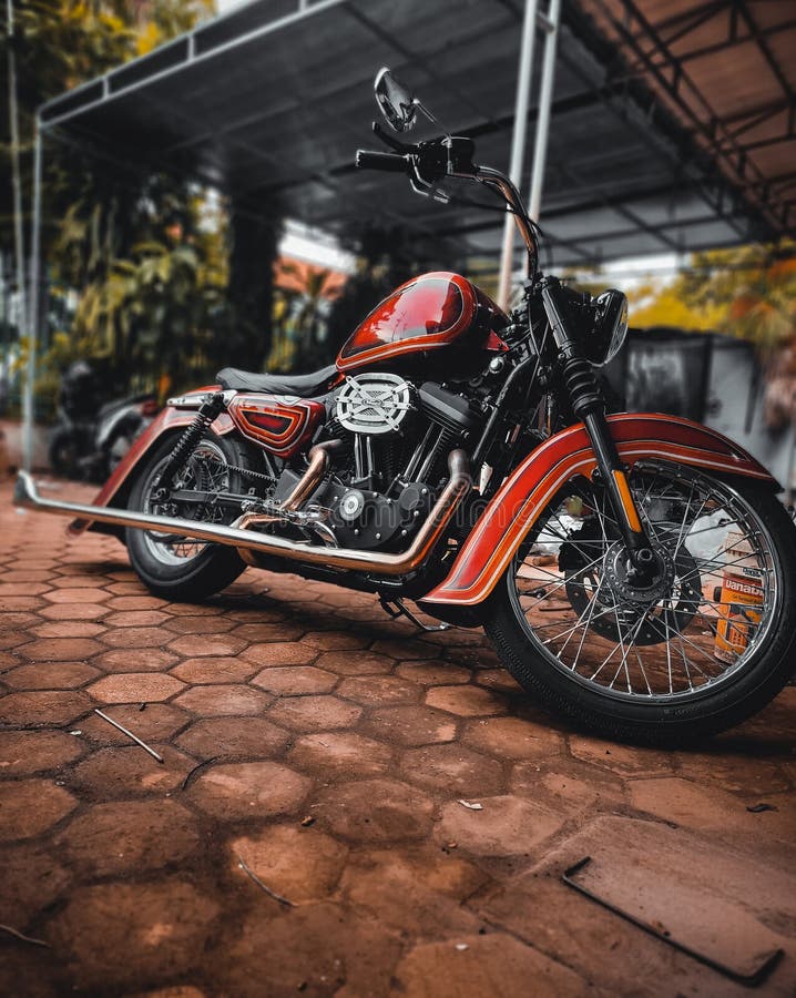 Chicano 883 Harley Motorcycle Editorial Photography - Image of harley ...