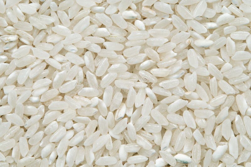 Chicchi del riso bianco immagine stock. Immagine di curva - 38895009