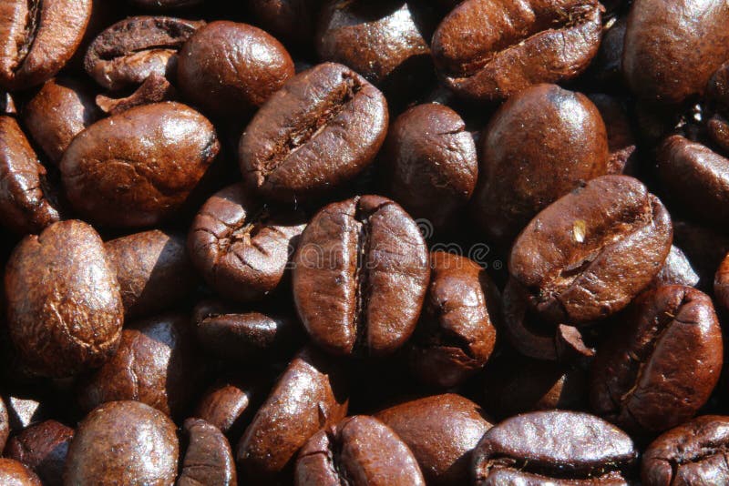 Chicchi di caffè fotografia stock. Immagine di gusto - 58264548