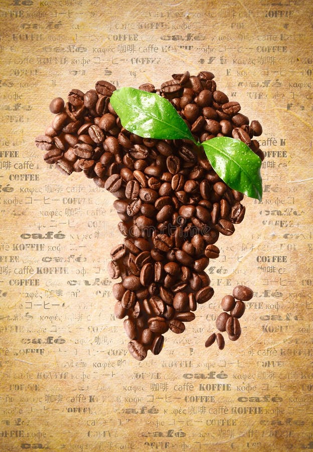 Chicco di caffè Africa fotografia stock. Immagine di caffeina - 23501088