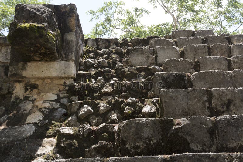 Mexico Tourism Destination, Caves and Pools of Cenote Casa Tortuga Near ...