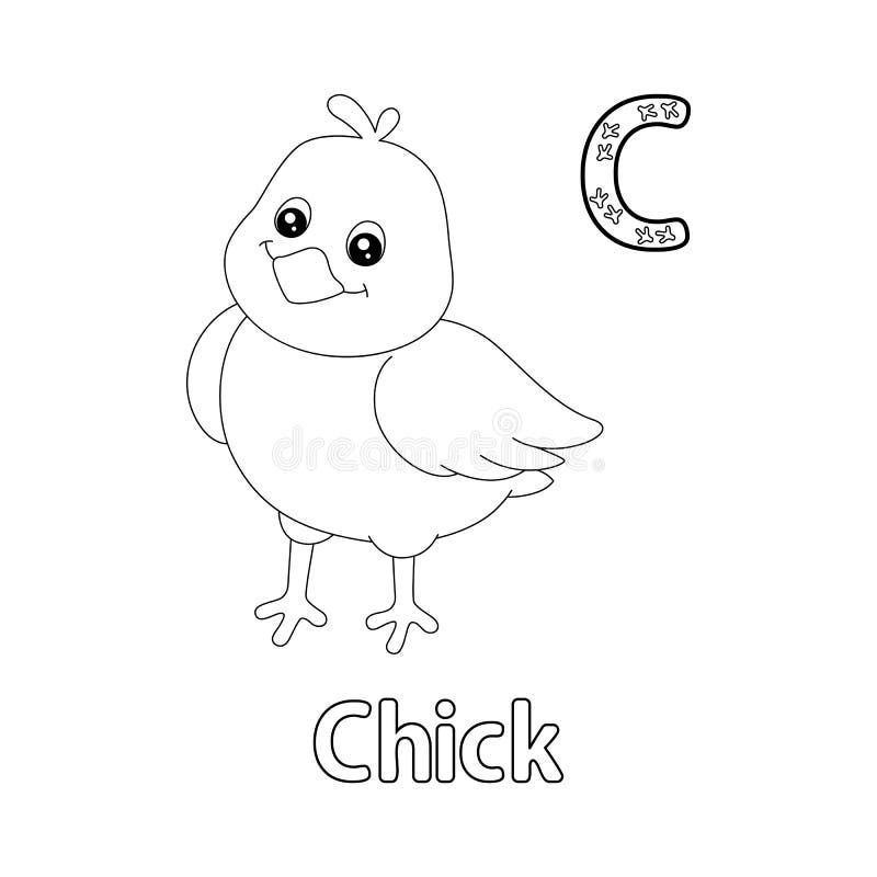 Chick Alphabet ABC Coloring Page C Stock Vector - Illustration of line ...