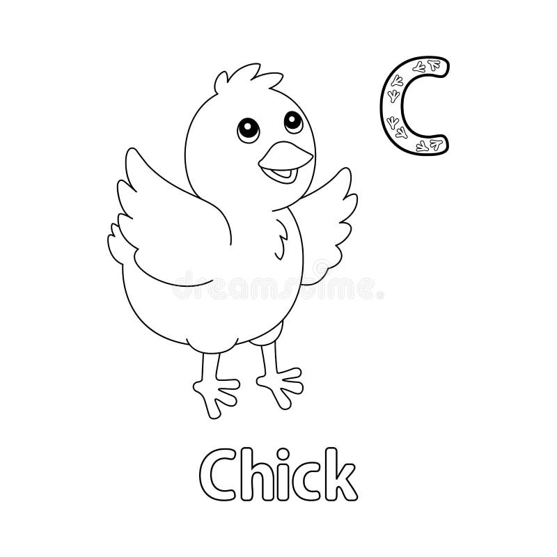 Chick Alphabet ABC Coloring Page C Stock Vector - Illustration of line ...