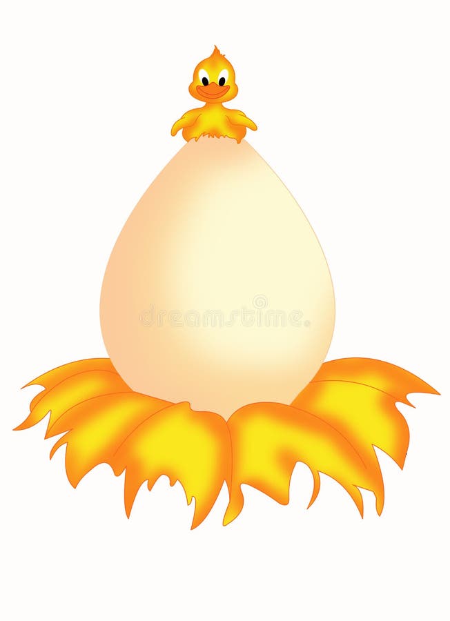 Chicken Brooder Stock Illustrations – 44 Chicken Brooder Stock ...