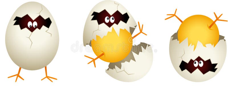Chick cracked egg shell stock vector. Illustration of vector - 78083865