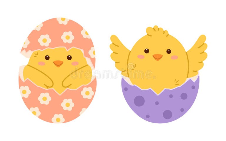 Chick in Easter Egg Set. Chicken Hatch from Cracked Egg Stock Vector - Illustration of graphic ...