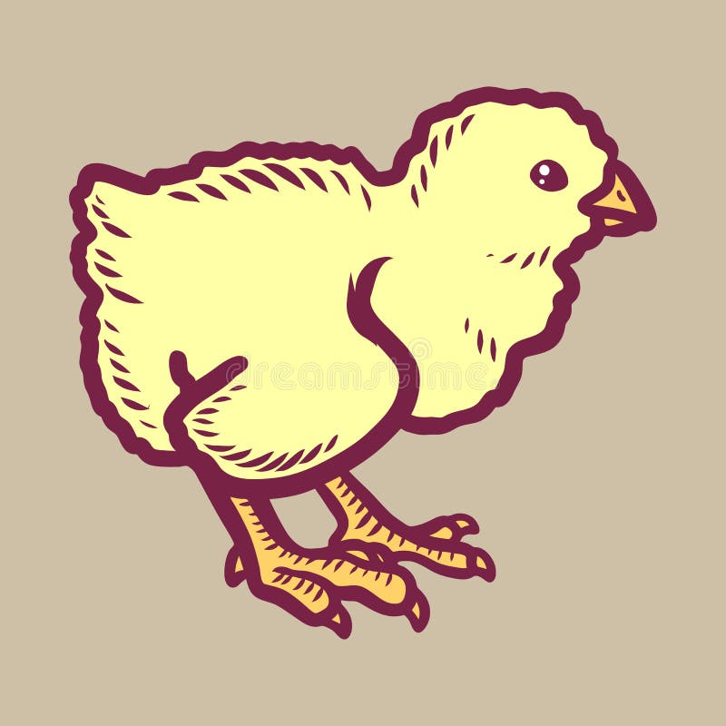 Chick Icon, Hand Drawn Style Stock Vector - Illustration of drawing ...