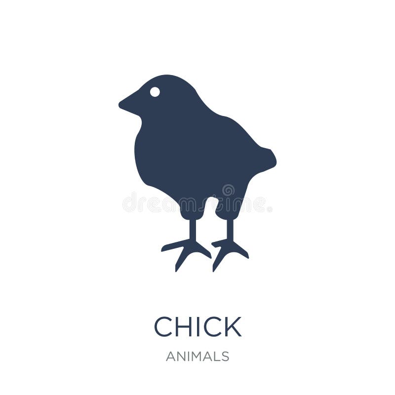 Chick Icon. Trendy Flat Vector Chick Icon on White Background Fr Stock ...
