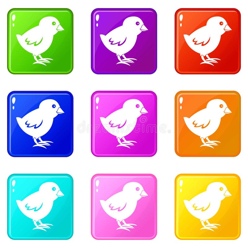 Chick icons 9 set stock vector. Illustration of cute - 96154996