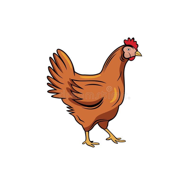 Chicken Animated Pictures